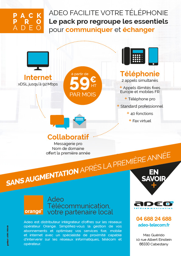 Charte graphique, site internet, plaquette pour Adeo Informatique - Graphiste Indépendant ...
